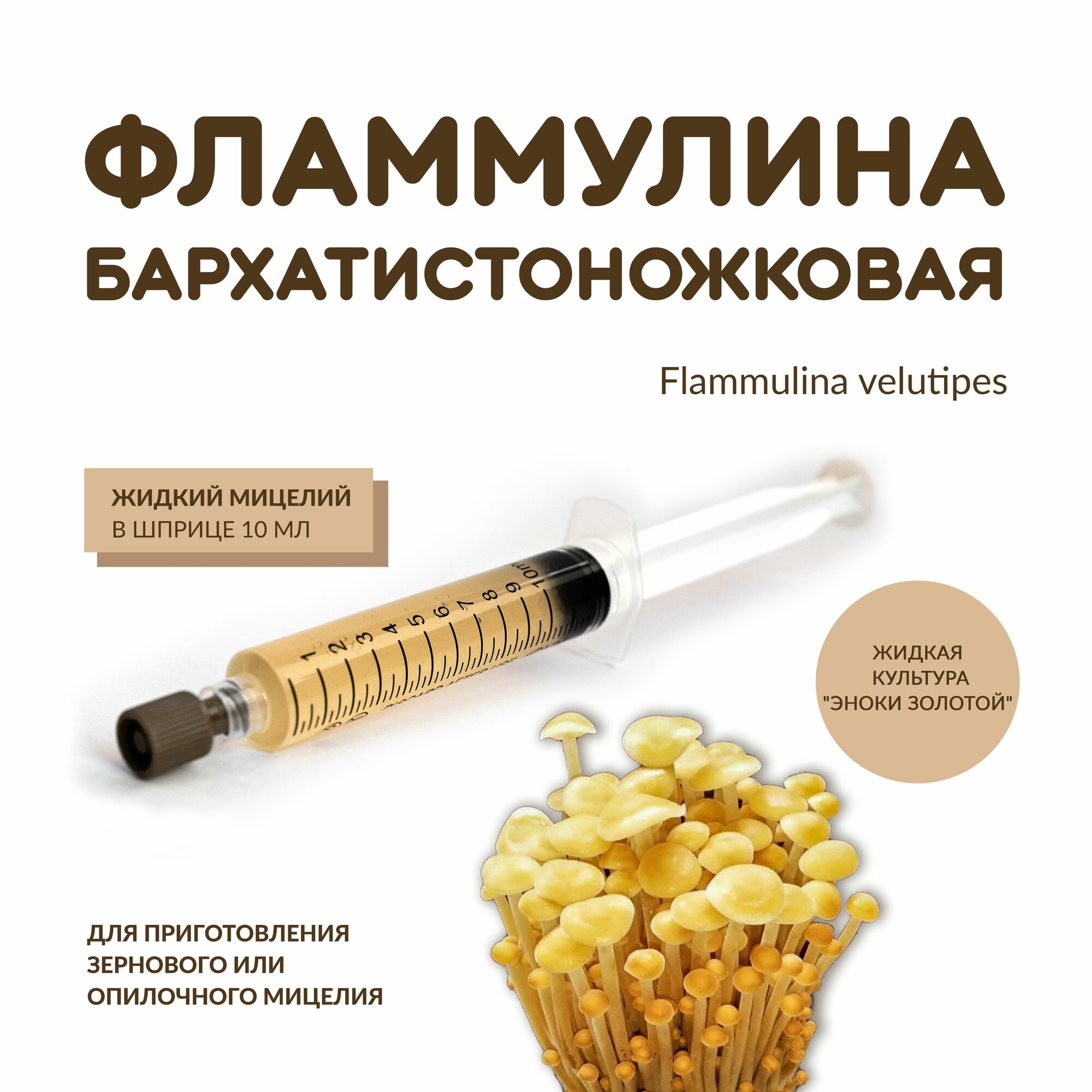 Жидкий мицелий Фламмулины бархатистоножковой