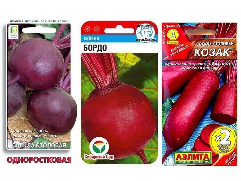 Набор семян овощей Борщ-букет (Свёкла Бордо, Столовая Козак, Столовая Одноростковая)