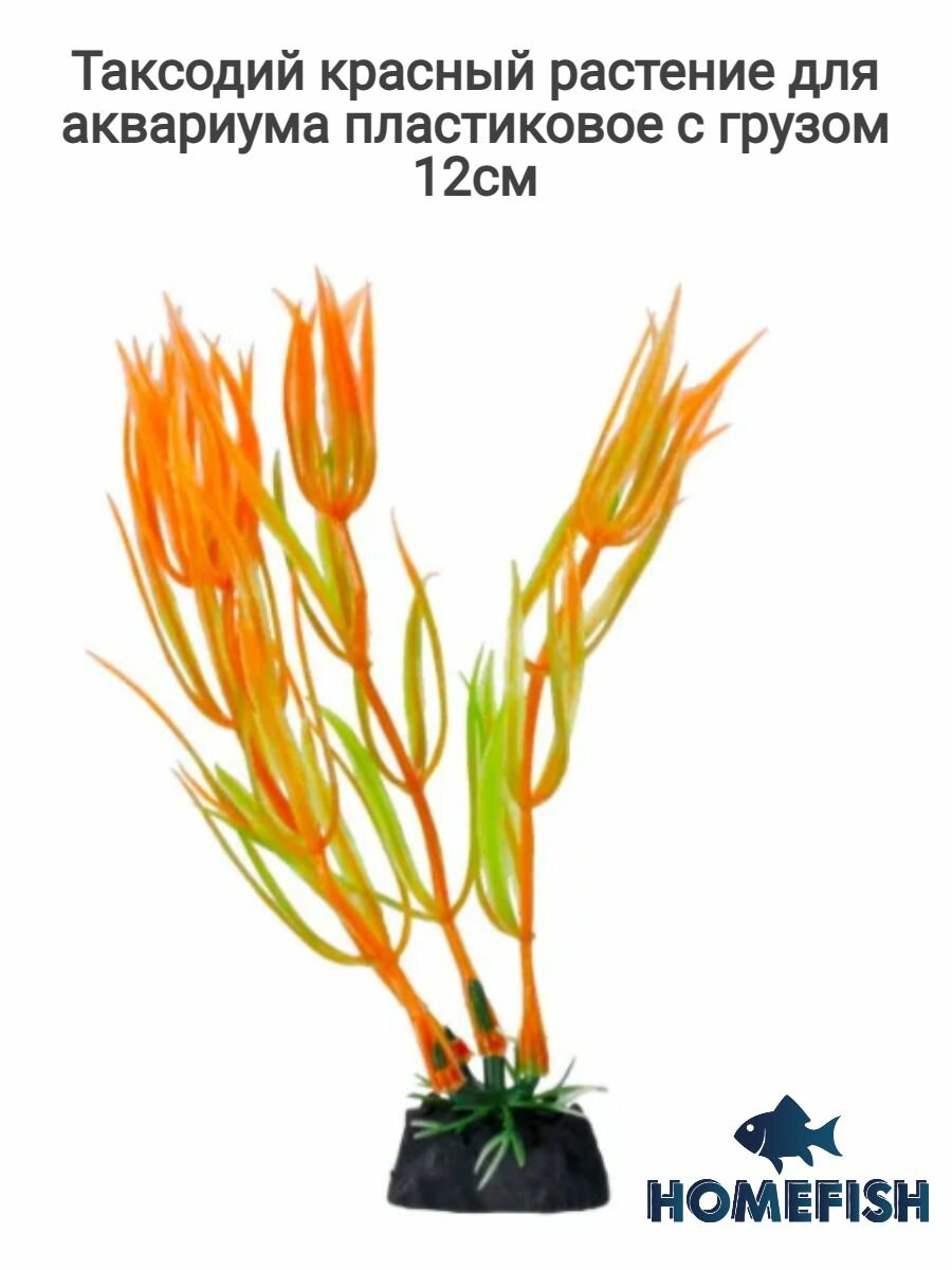 HOMEFISH 12 см Таксодий красный растение для аквариума пластиковое с грузом