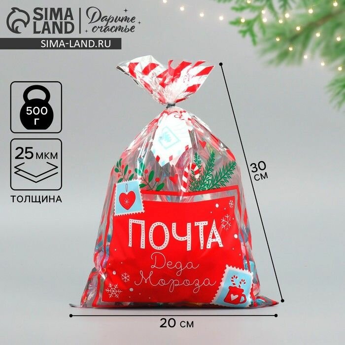 Пакет пластиковый Почта , 20 х 30 см, Новый год