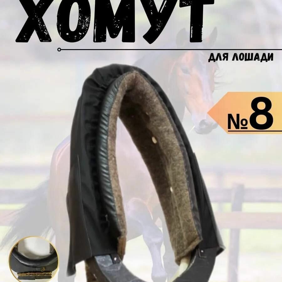 Прочие аксессуары для конного спорта