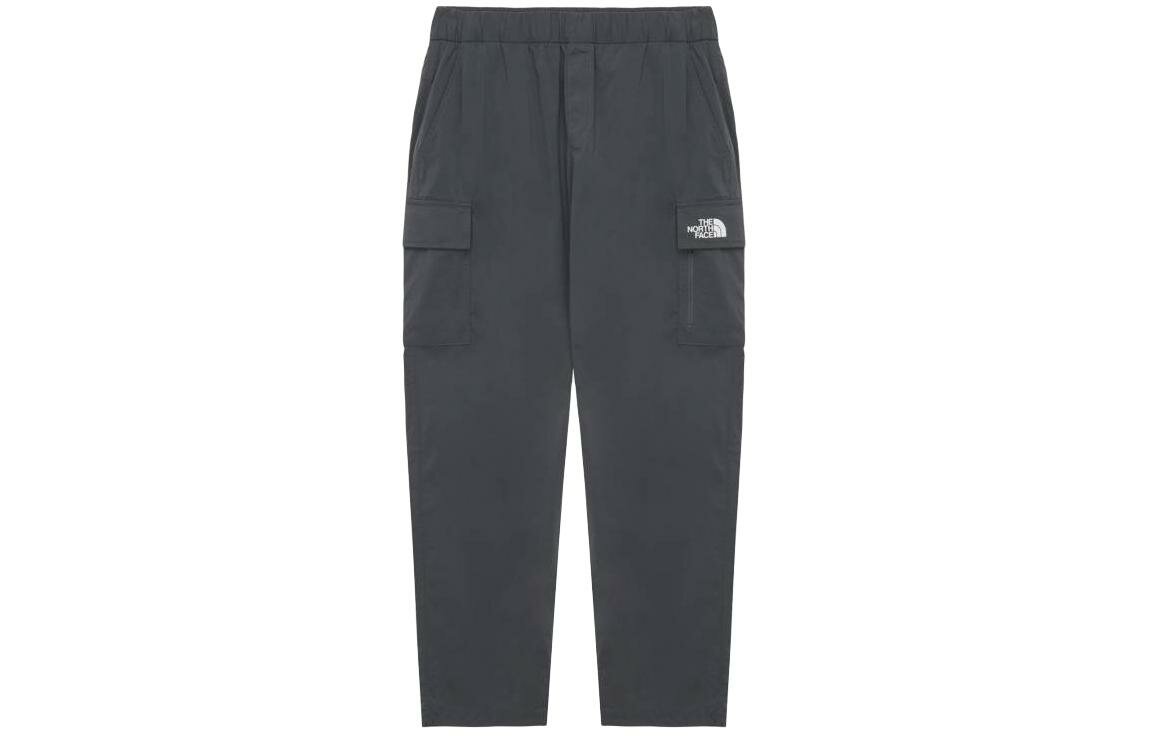 Брюки спортивные THE NORTH FACE Apparel Collection