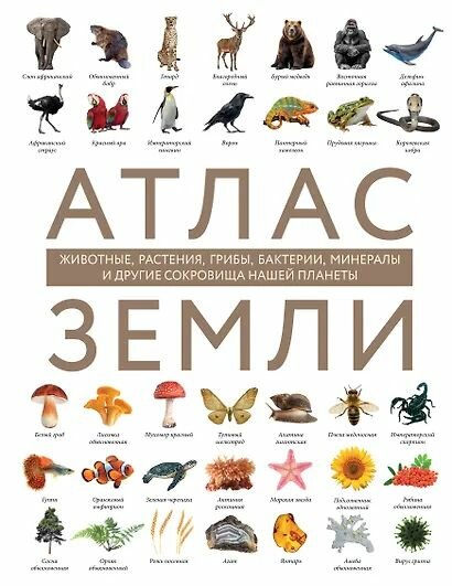 Регина Михайлова: Атлас Земли. Животные, растения, грибы, бактерии, минералы и другие сокровища нашей планеты