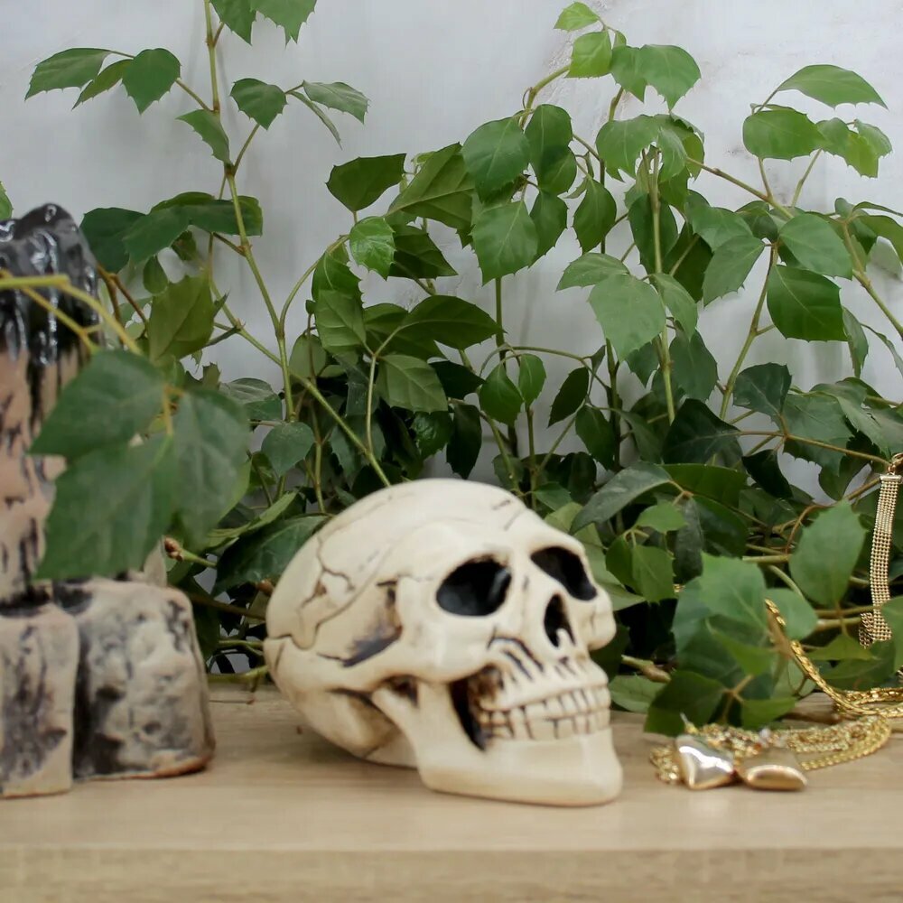 Шкатулка для украшений и мелочей Череп Бедный Йорик малый , гипс , 8.5 см