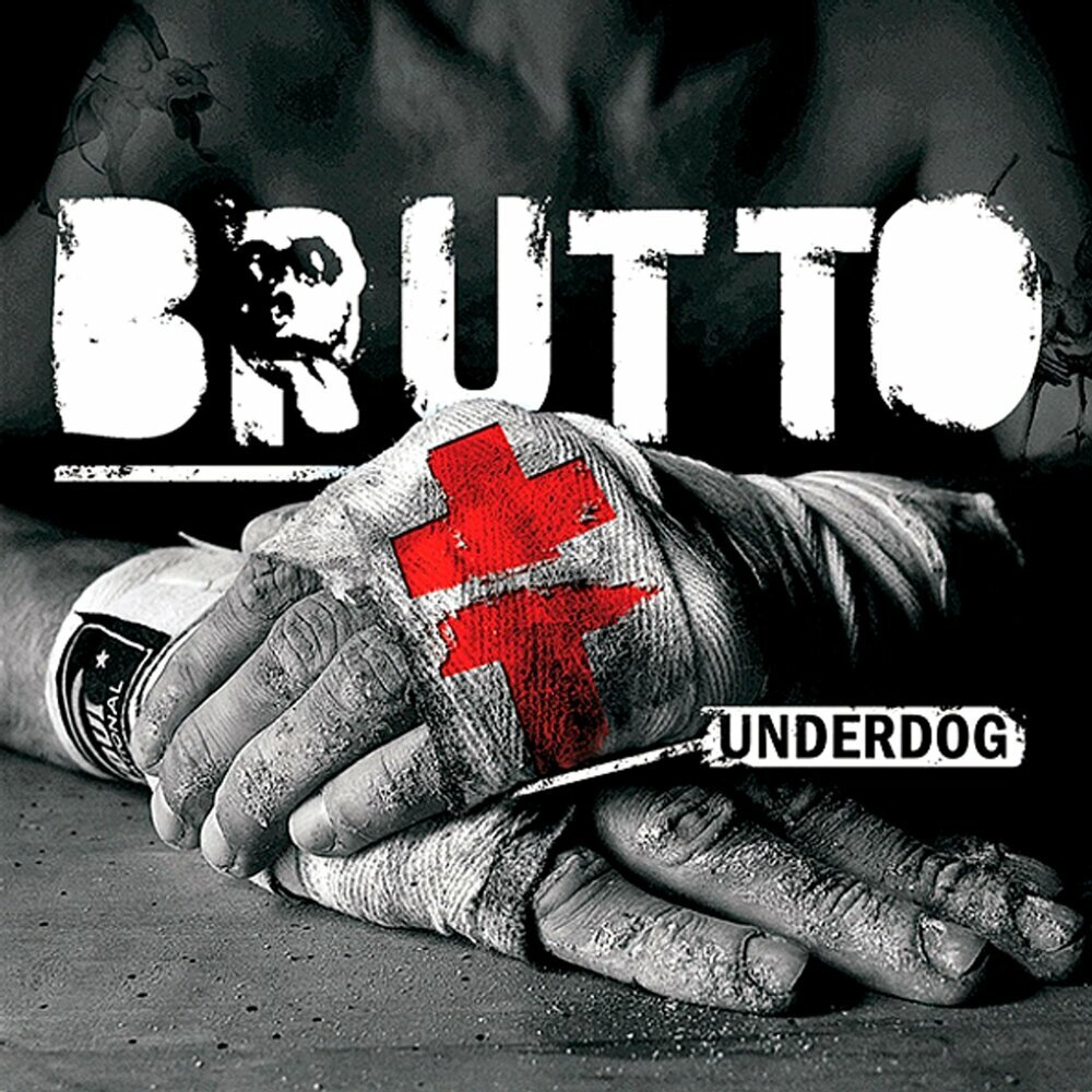 Виниловая пластинка Brutto (Ляпис Трубецкой) / Underdog (black vinyl) (lp)