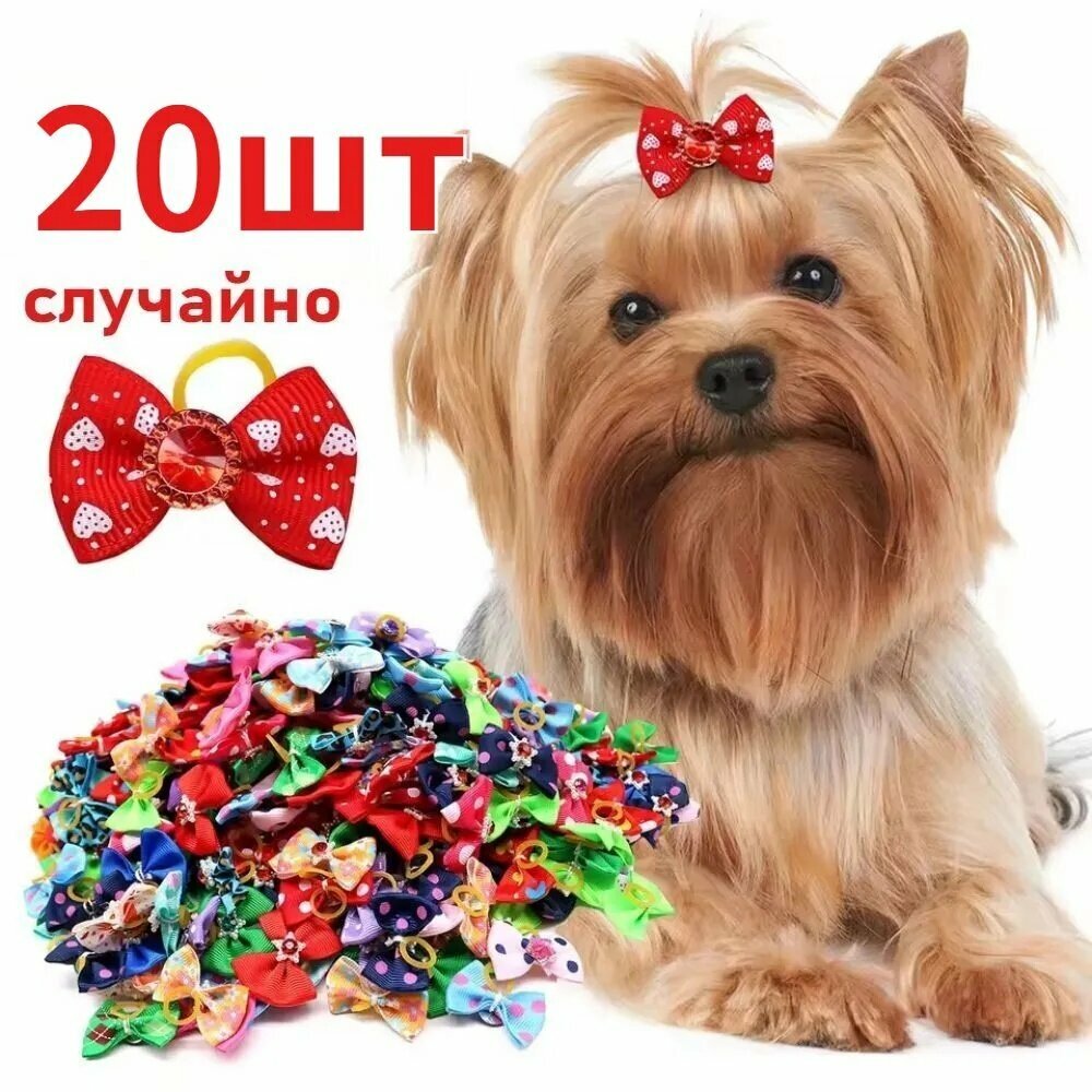 Резинки-бантики для домашних животных, 20/30/40 шт.