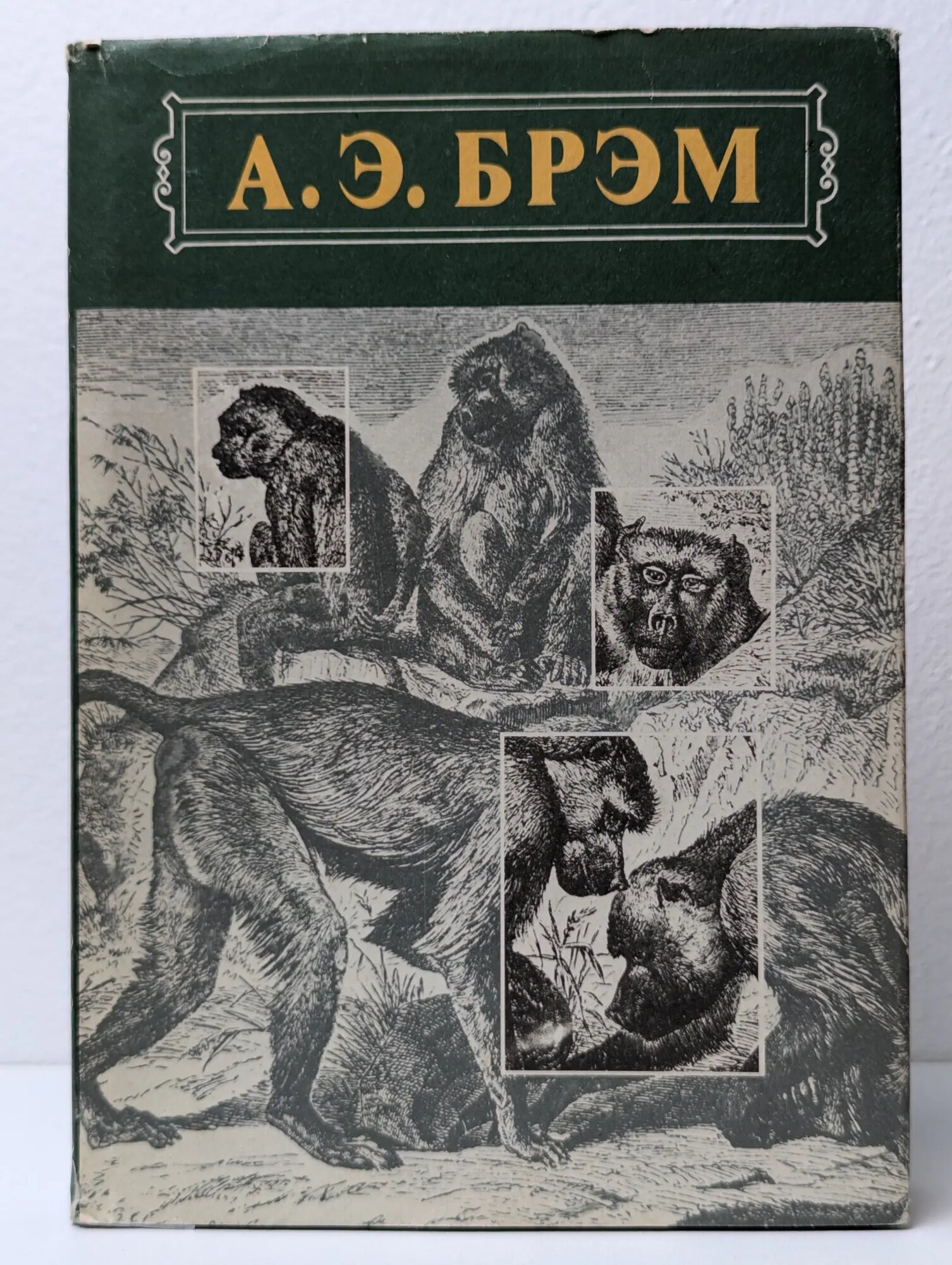 Жизнь животных. Том 1. Млекопитающие Брем Альфред Эдмунд 1992