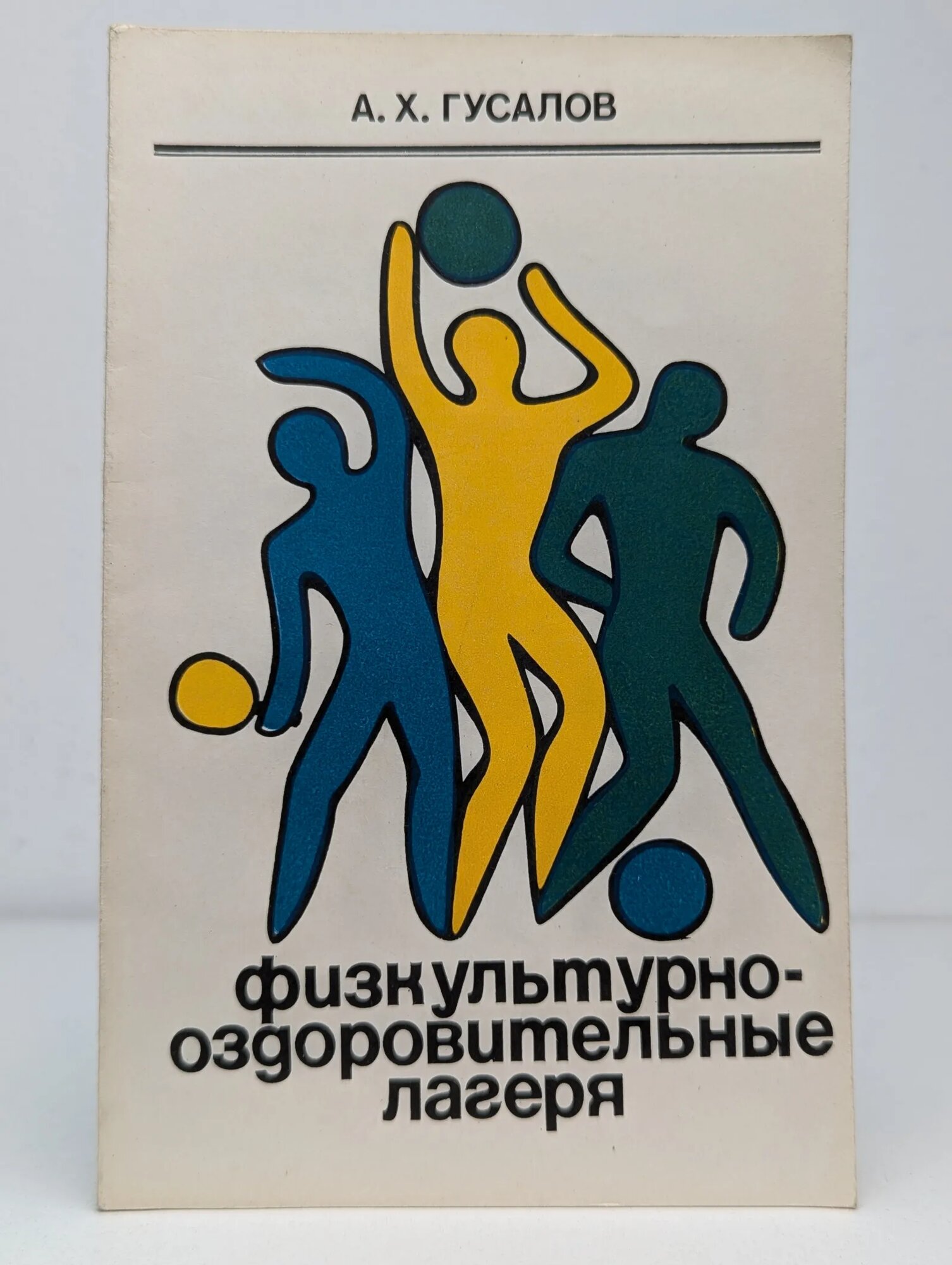 Физкультурно-оздоровительные лагеря Гусалов Алихан Хатахцкоевич 1979