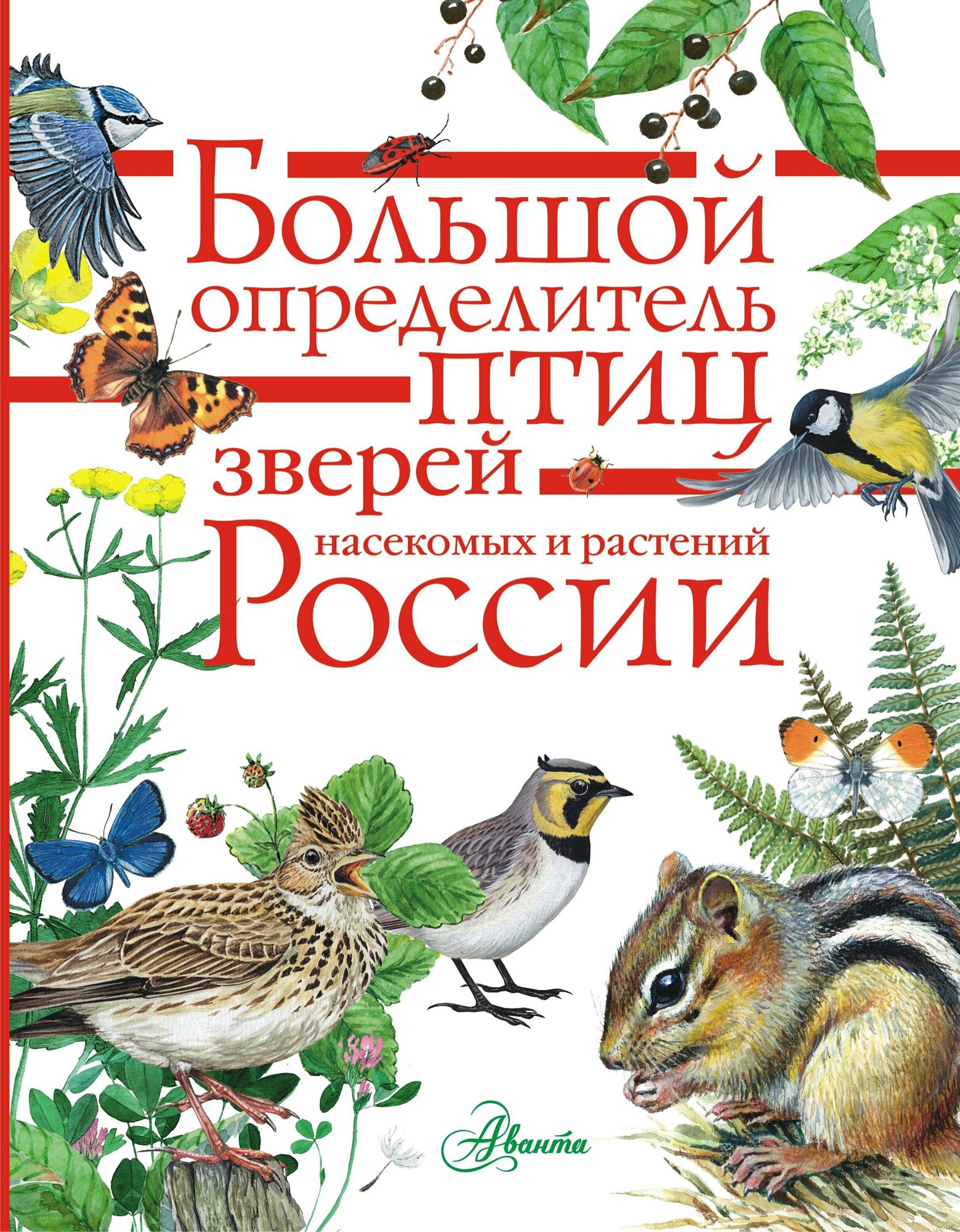 Книга: "Большой определитель зверей, амфибий, рептилий, птиц, насекомых и растений России" от Волцит П, русский язык, Естественные науки