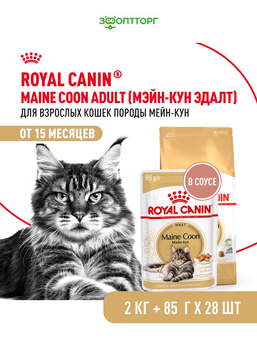 Набор сухой корм Royal Canin Maine Coon Adult 2 кг. + 28 паучей для кошек породы мейн кун 4,3 кг.