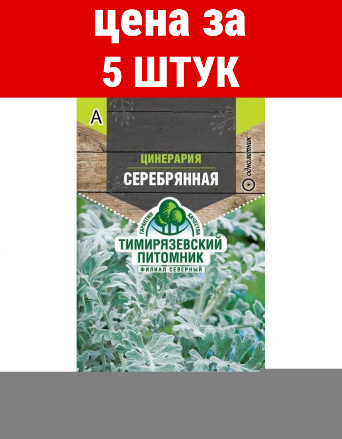 Комплект 5 шт, Семена Тимирязевский питомник цветы цинерария Серебрянная 0.05г