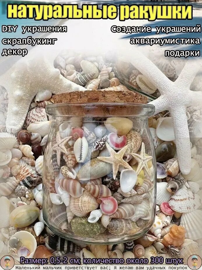 Натуральные миниатюрные ракушки, морские звезды
