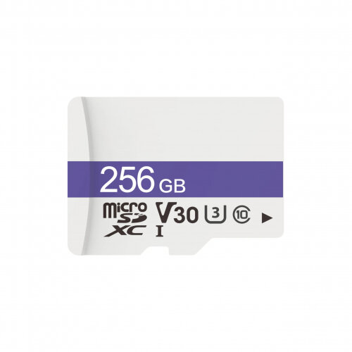 Карта памяти Dahua C100 microSDXC 256GB UHS-I Class 10/U3/V30, 90/95 MB/s (DHI-TF-C100/256GB)