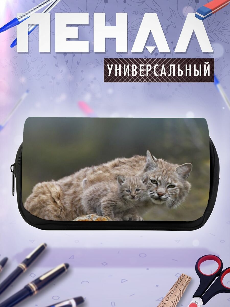Школьный пенал Евразийская рысь Дикая кошка