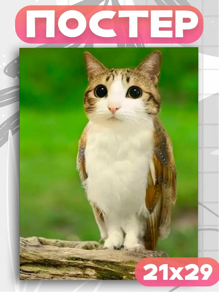 Постеры на стену для интерьера Meowl мем Котосова, плакат 1шт, А4 размер.