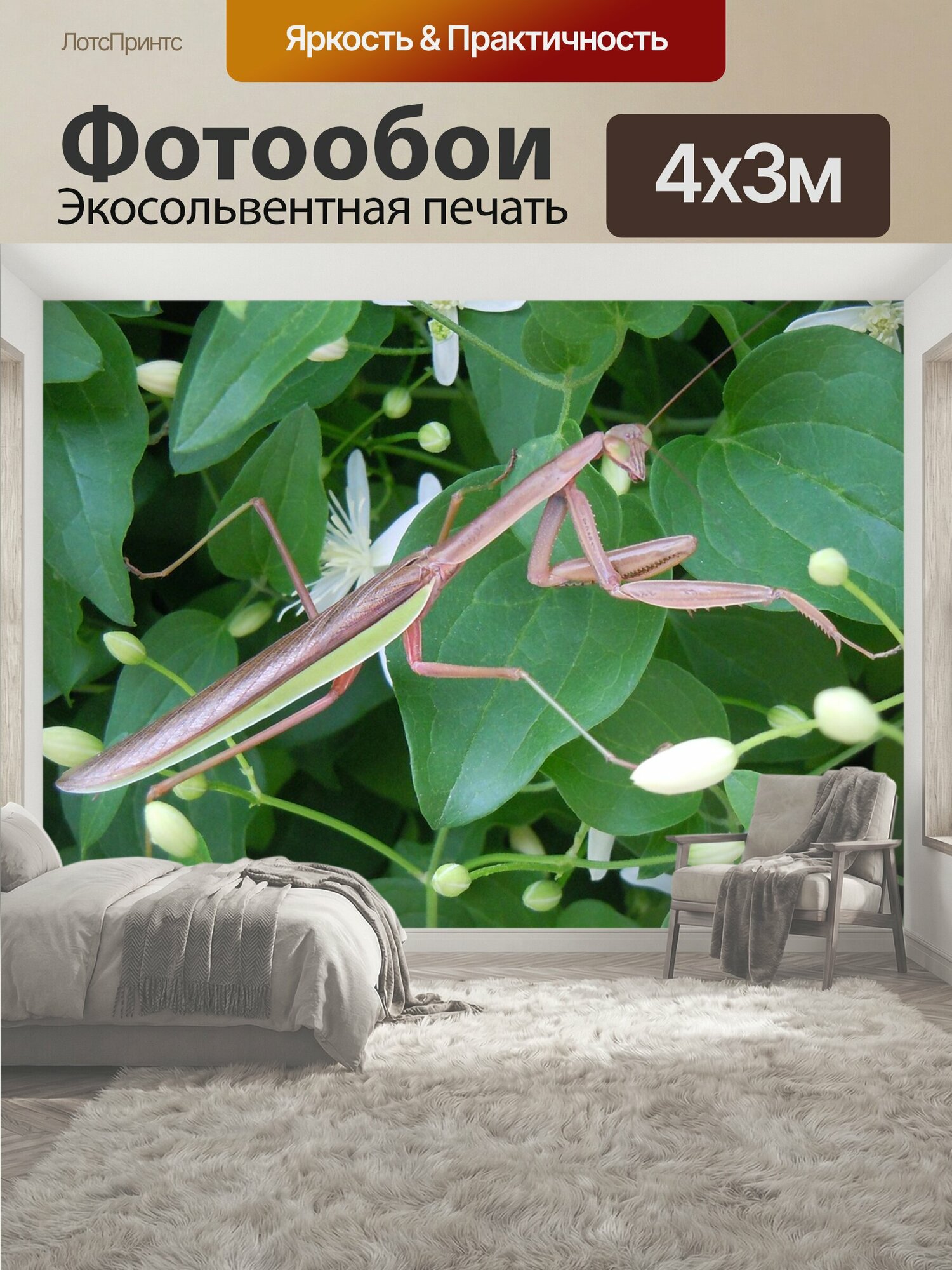 Фотообои "Богомол, глаза, зелень" 400x300 см. экосольвентная печать