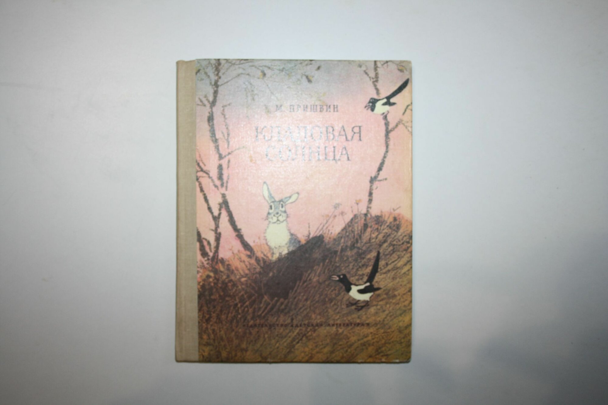 Кладовая солнца. Сказка-быль и рассказы