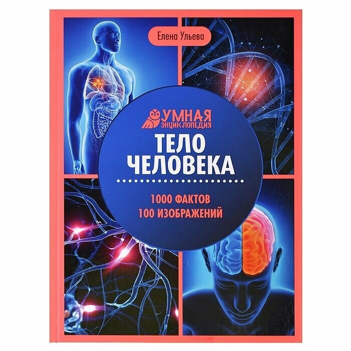 Детская энциклопедия Феникс Умная энциклопедия "Тело человека" издание 6-е, автор Ульева (978-5-222-38035-2)