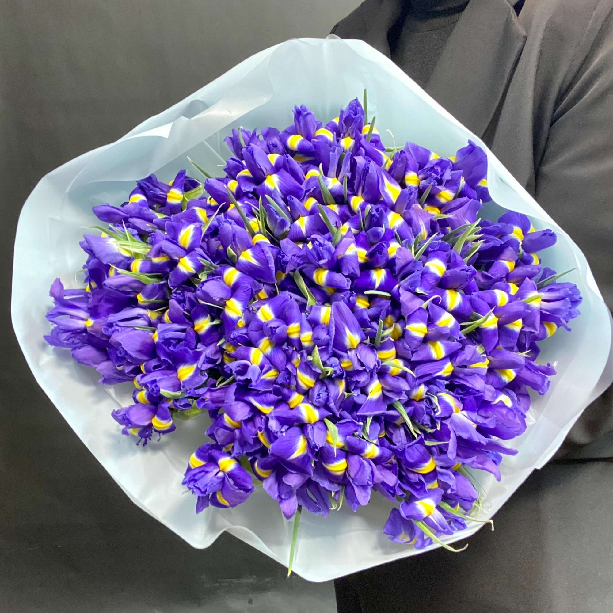101 ирис (101 ирис), высота букета 50 см, ширина букета 35 см