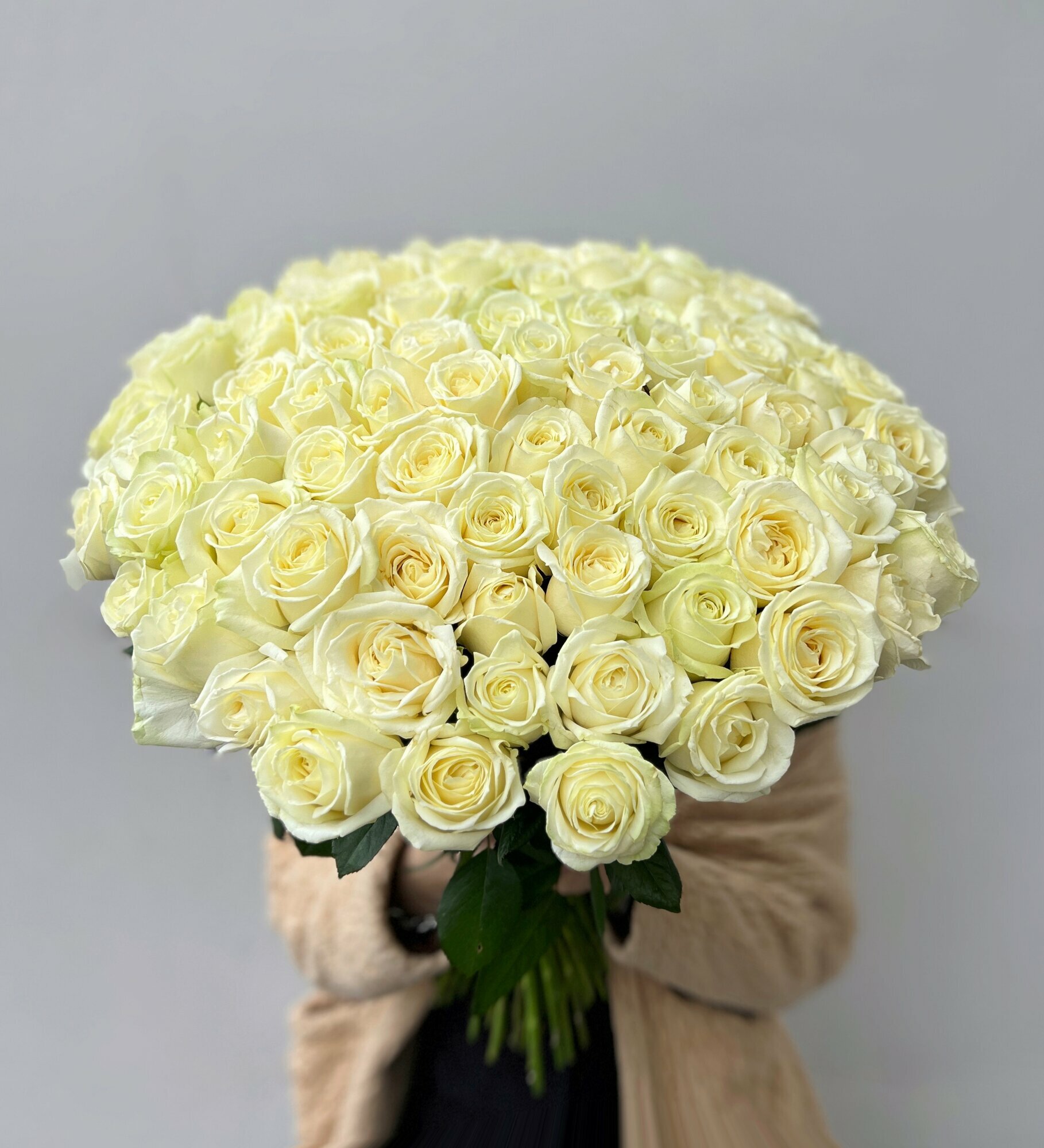 Букет из белых роз 87 шт, красивый букет из роз 60 см, букет живых цветов, Россия