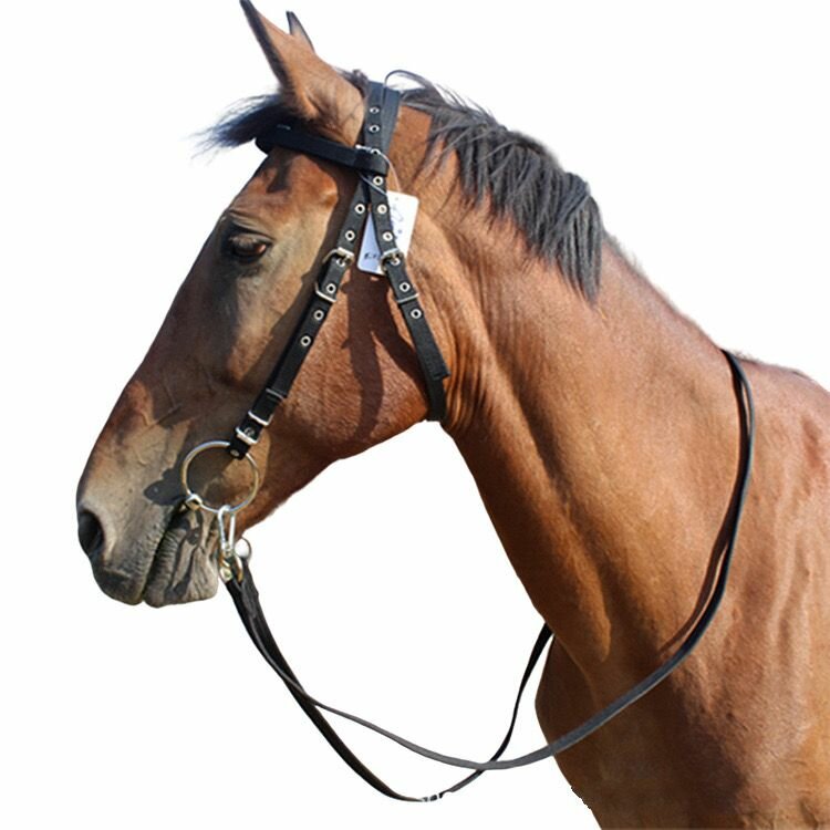 Оголовье для лошади. Комплект повод, трензель, уздечка. Размер FULL, Нейлоновый материал