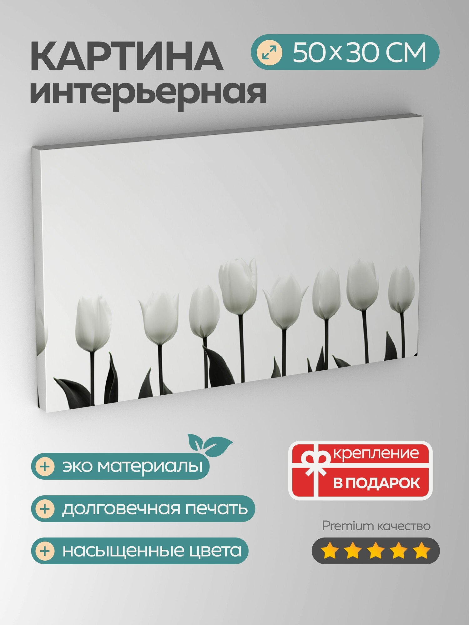 Картина на холсте интерьерная 50х30 см, черно-белая фотография, тюльпан, минимализм, белый фон, простая композиция