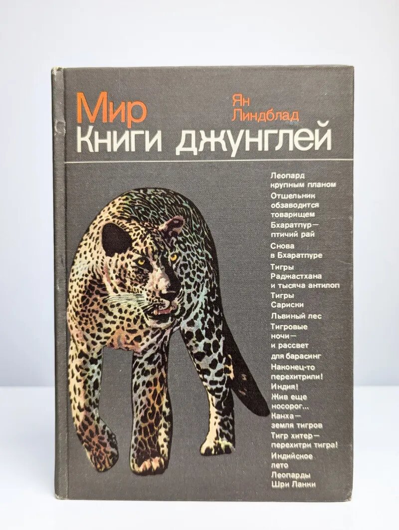 Мир книги джунглей