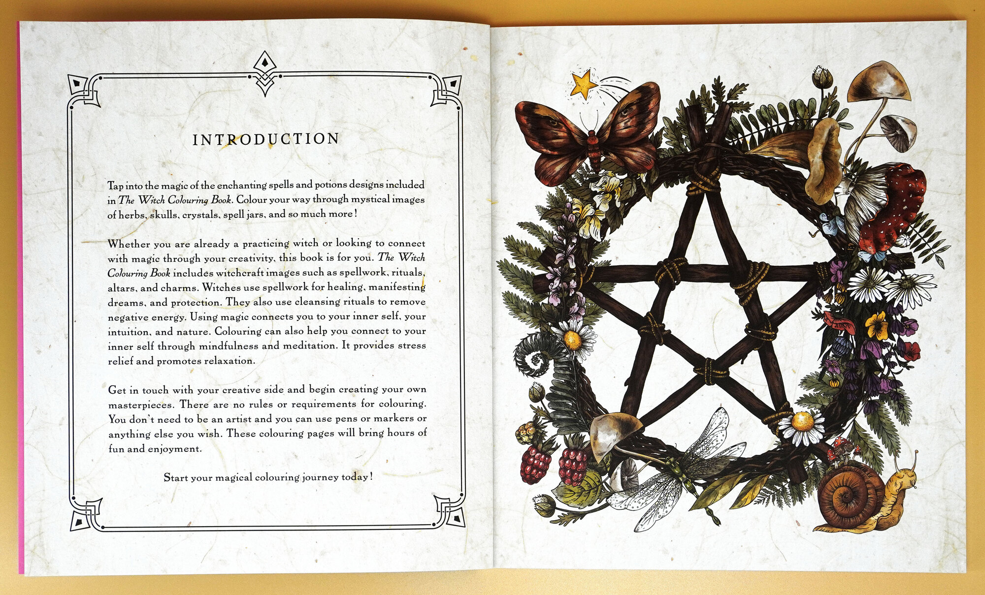 The Witch Colouring Book — фото 1