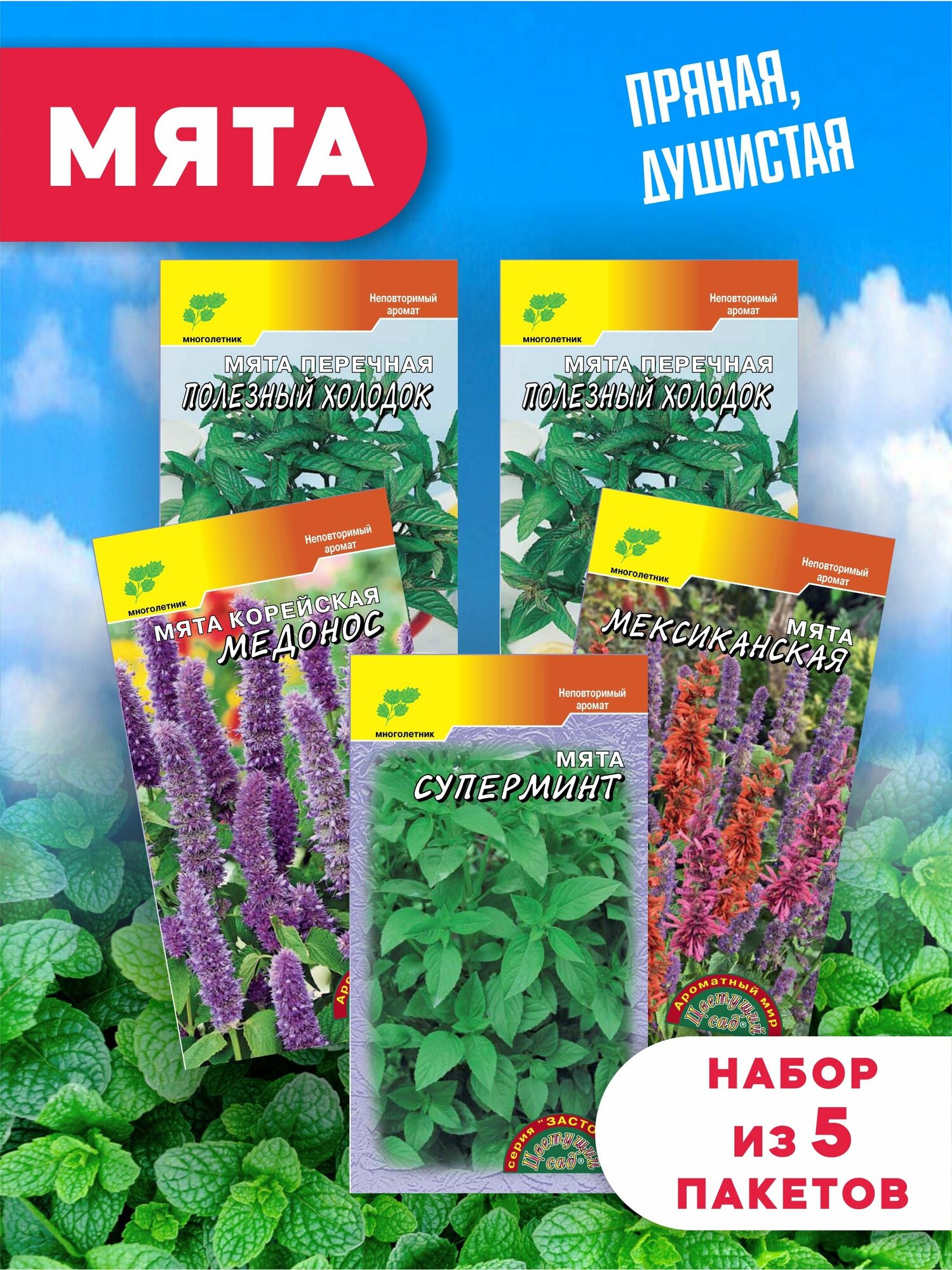 Семена мяты набор из 5 сортов