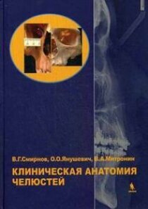 Клиническая анатомия челюстей
