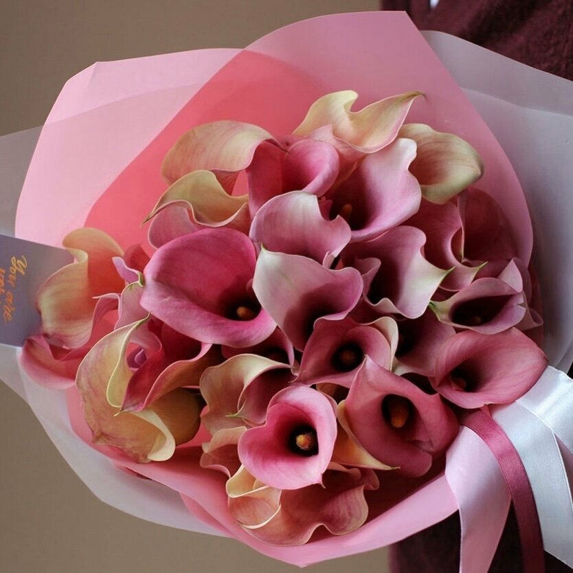 Букет из розовых калл 29 шт, красивый букет цветов, шикарный, премиум цветы, премиум букет