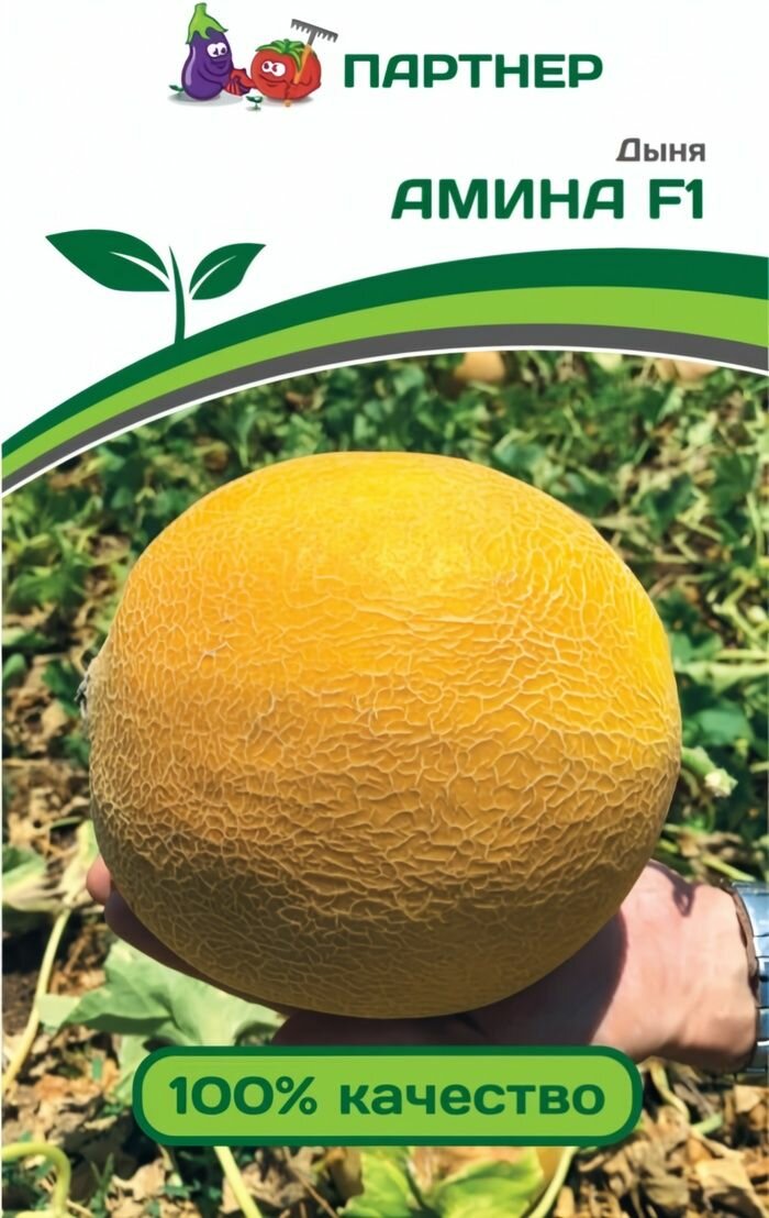 Дыня Амина F1