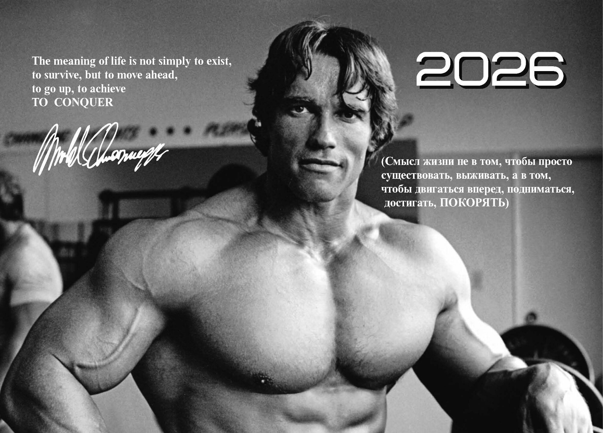 Календарь Арни 2026