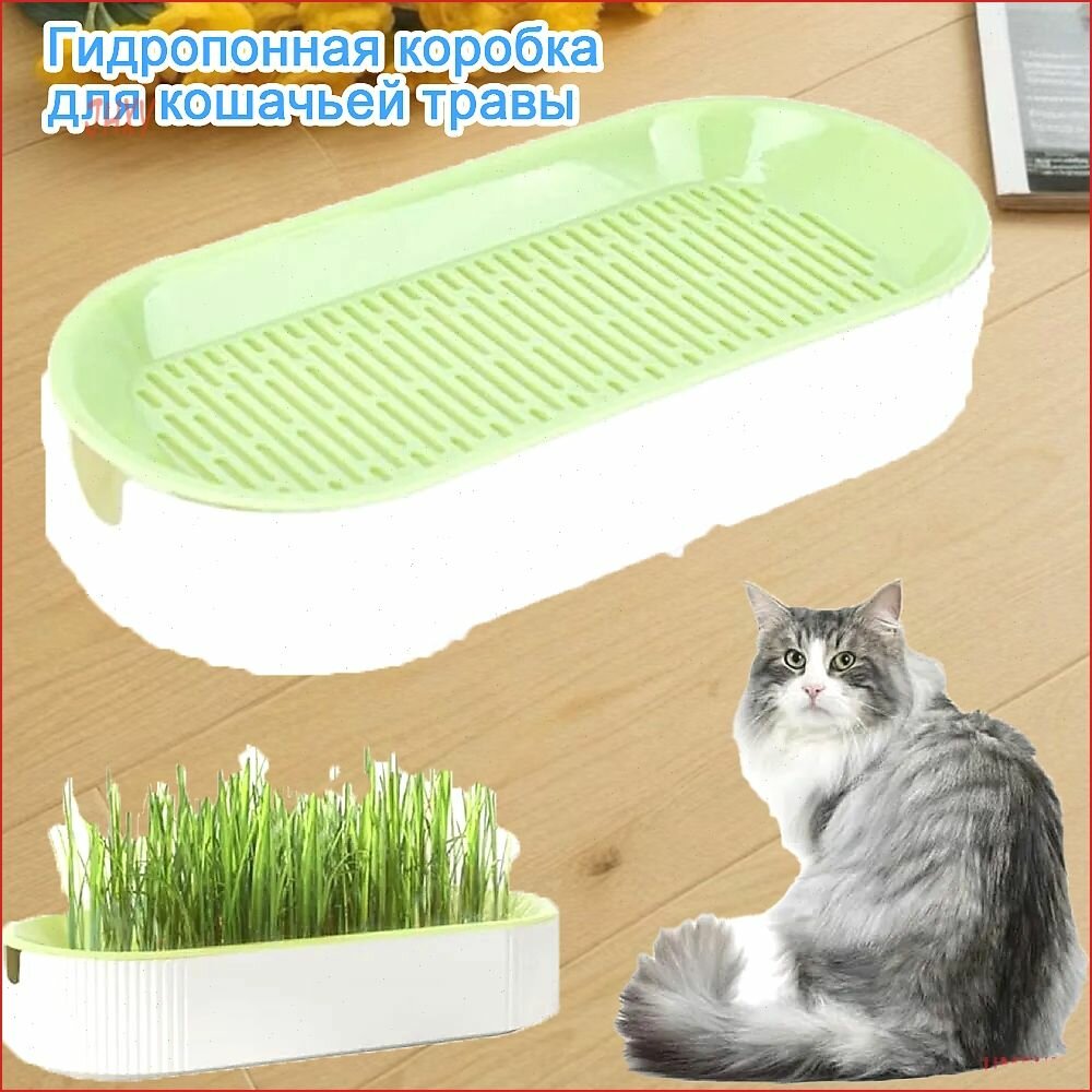 Гидропонная установка, От сети