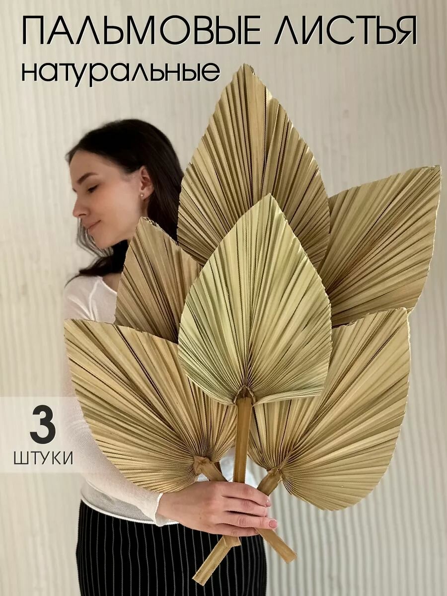 Сухоцветы для декора листья пальмовые