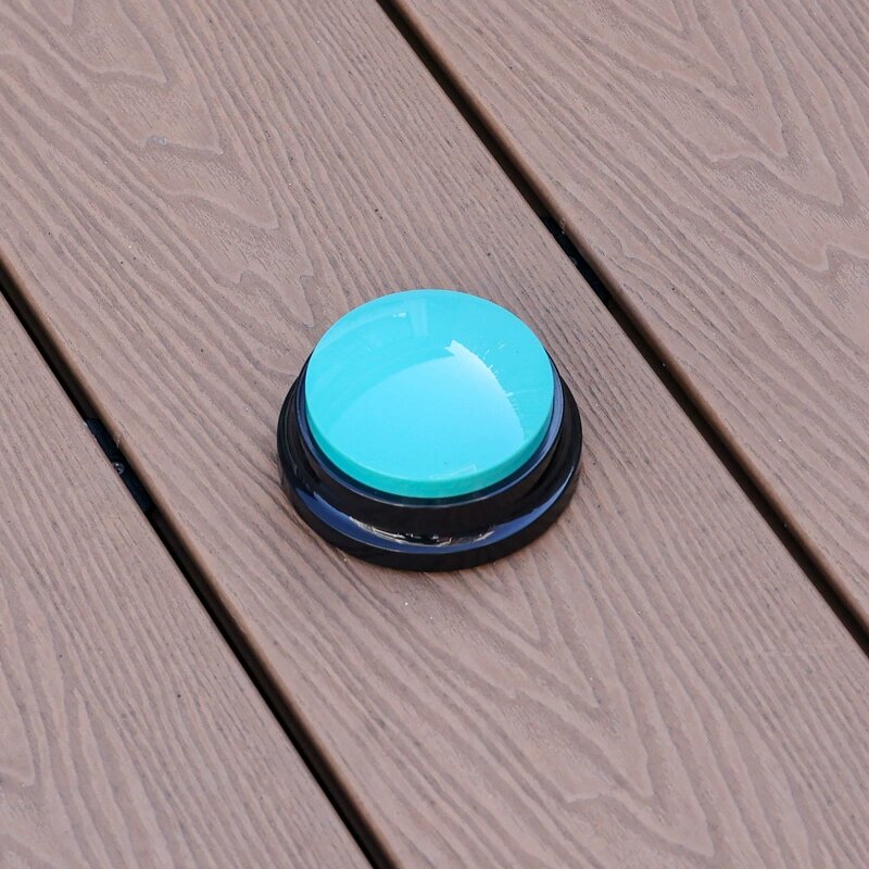 Интерактивная кнопка для обучения речи в детском саду: запись голоса, обучающая игрушка для родителей и детей, кнопка