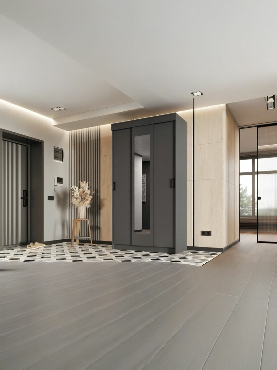 Шкаф-купе ЭРА ЭКО Графит Era19451, ЛДСП, с зеркалом, 120x220x56.5 см