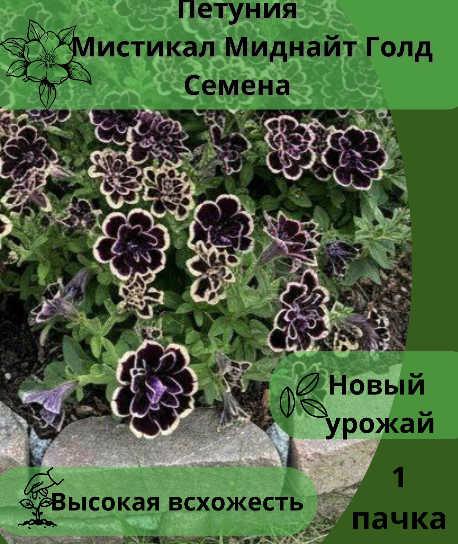 Петуния Мистикал Миднайт Голд, семена 10шт