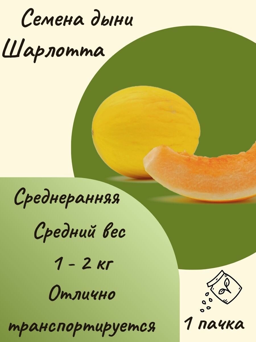 Семена дыни Шарлотта, 10 шт. семян