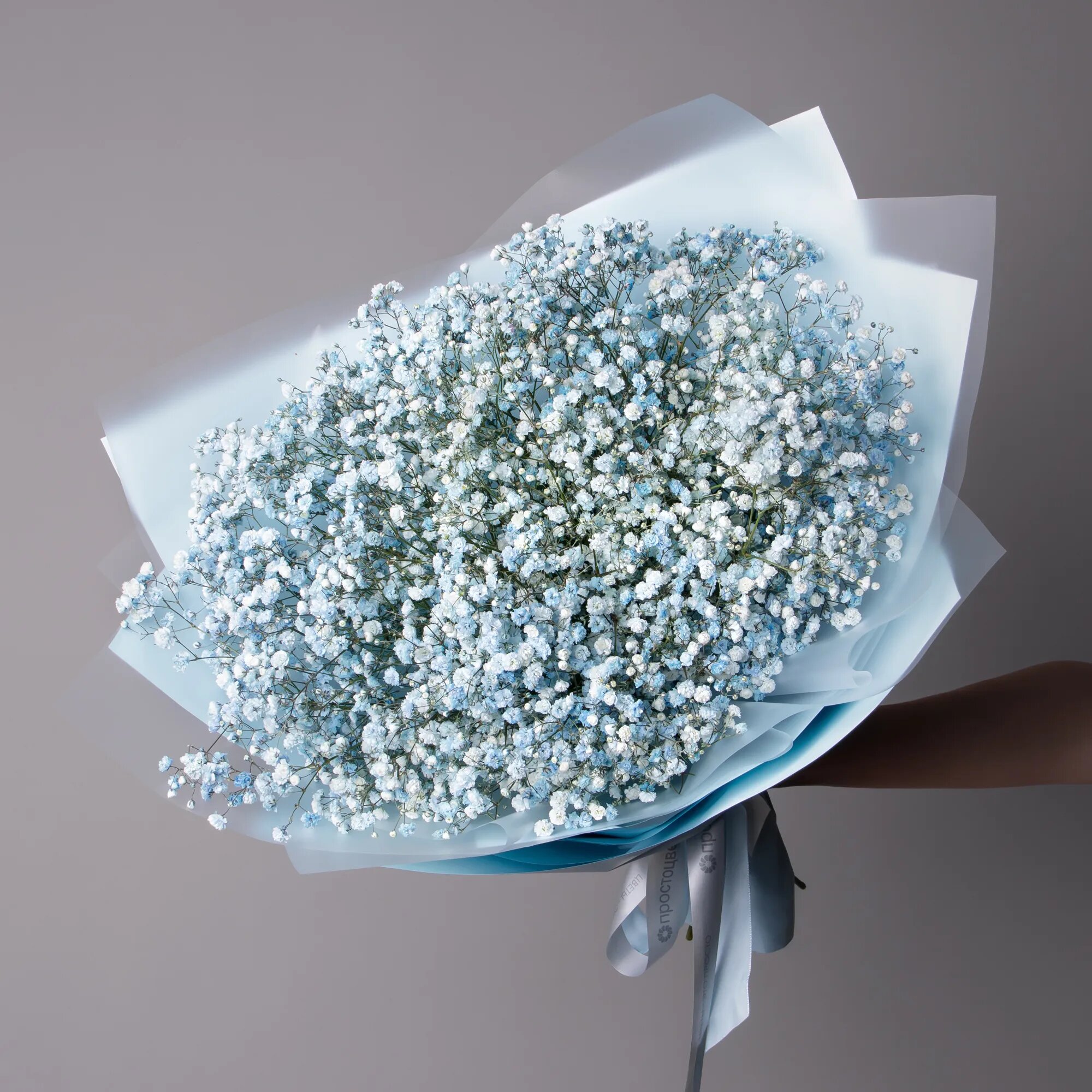 Букет Гипсофила "Крашенная светло-синяя" 45 шт Высота 80 см в коробке и аквабоксе от "Простоцветы"