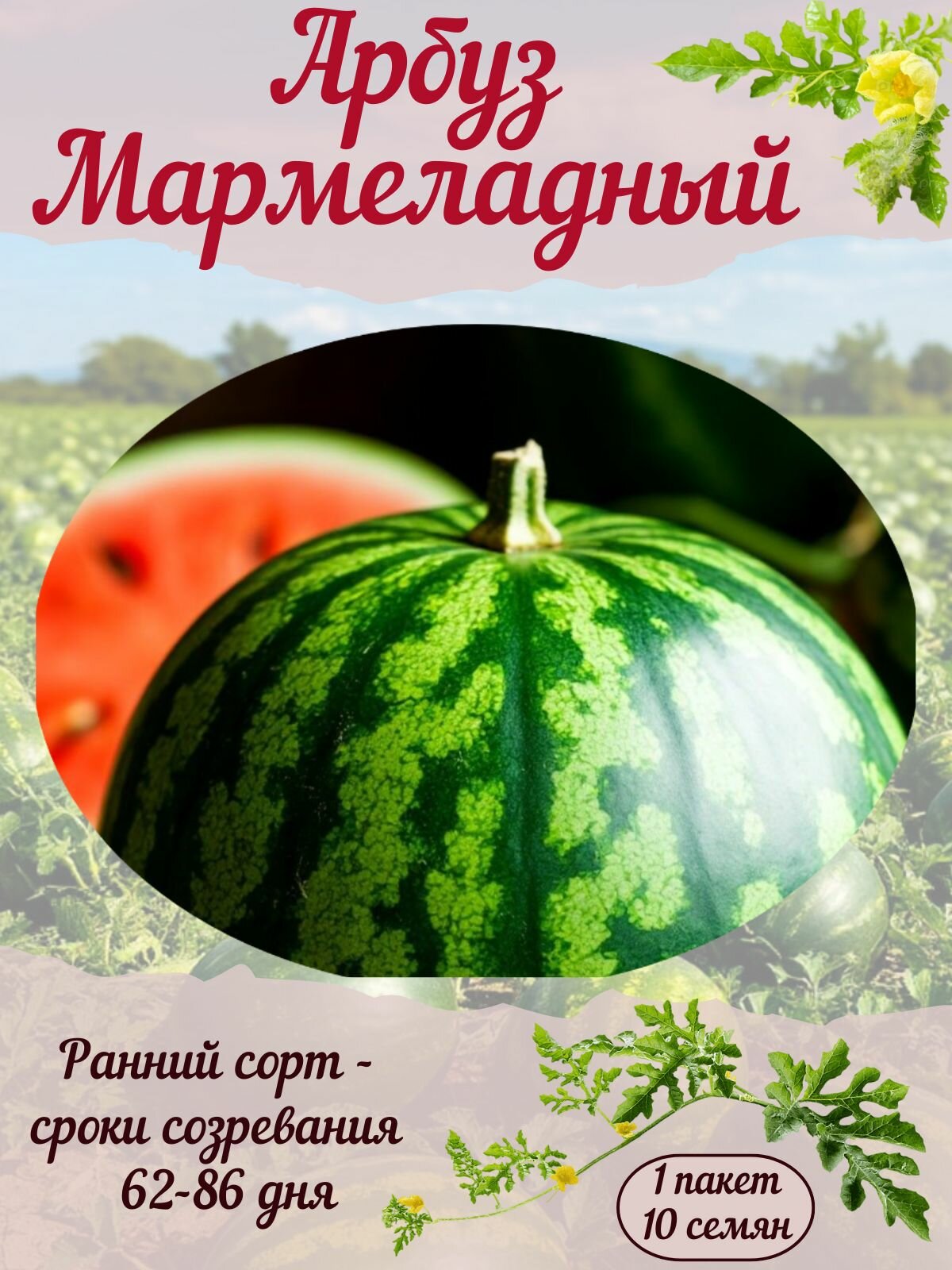 Арбуз Мармеладный, семена, 10 шт, 15 гр.