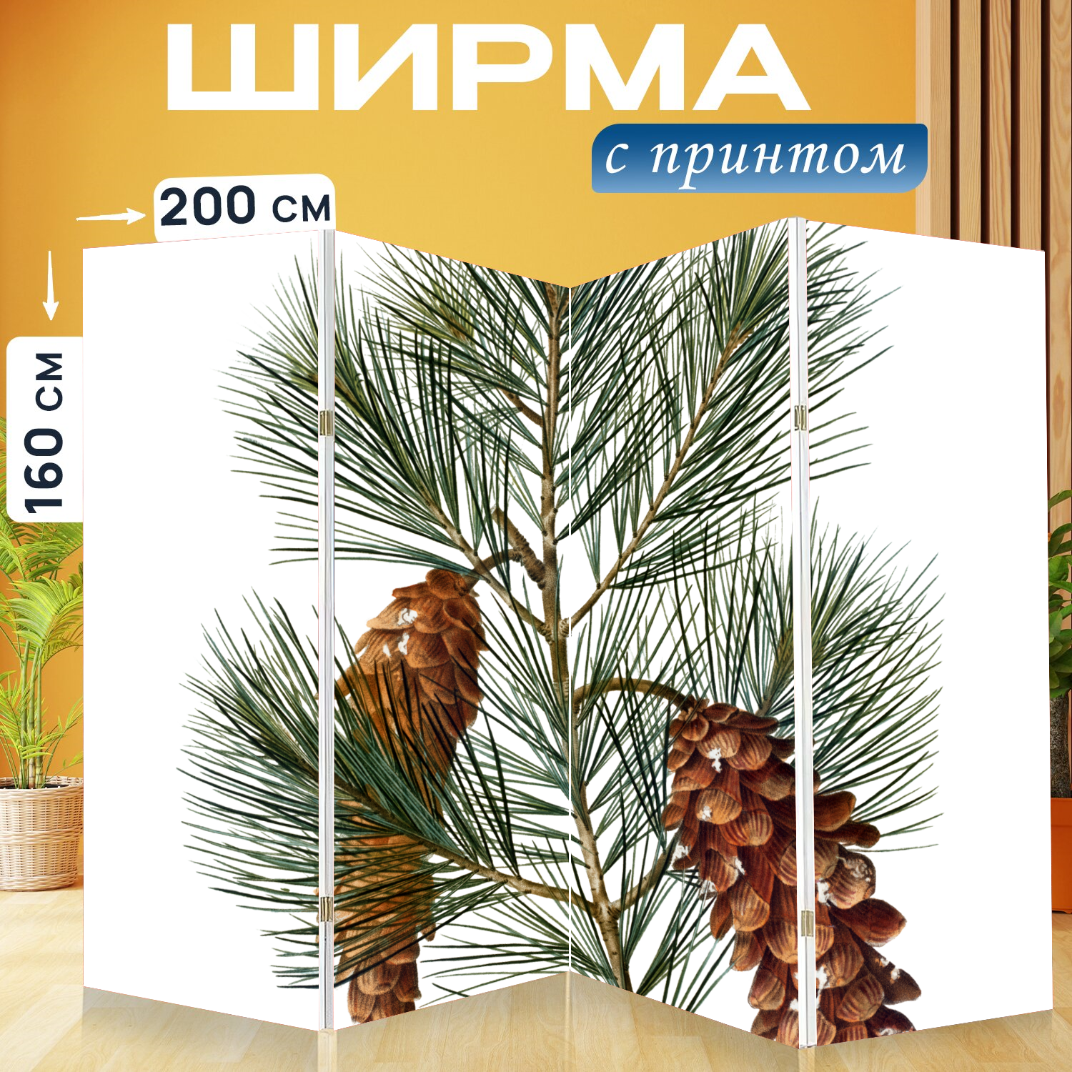 Ширма "Винтажный клипарт еловые ветки шишек Еловая ветка шишки ветка сосна ель винтаж клипарт наклейка с." перегородка для зонирования комнаты с принтом 200x160 см. на холсте