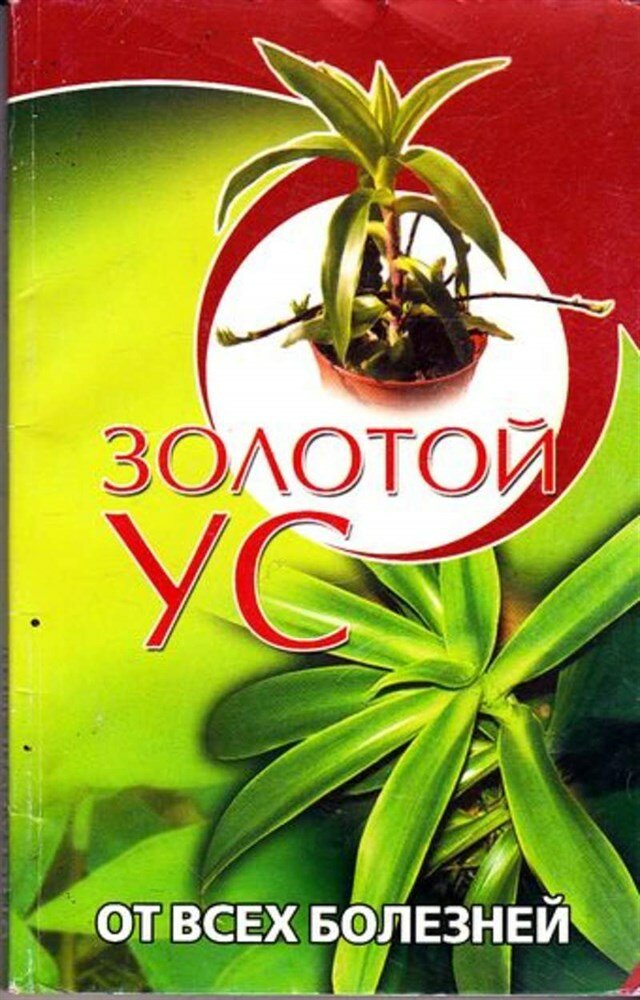 Золотой ус от всех болезней - 2009