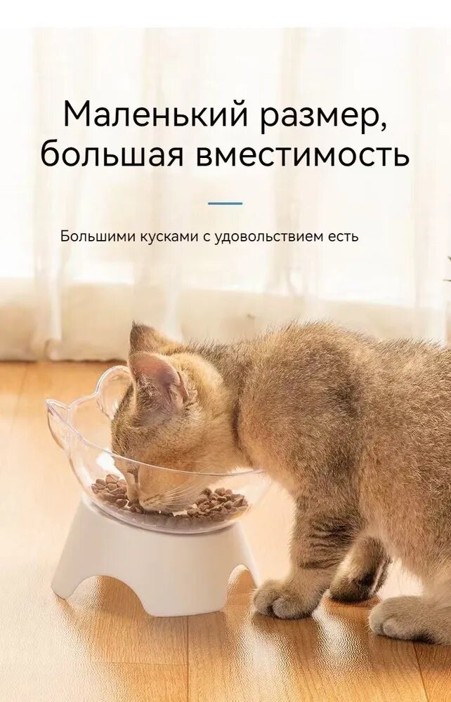 Чаша для животных — фото 1