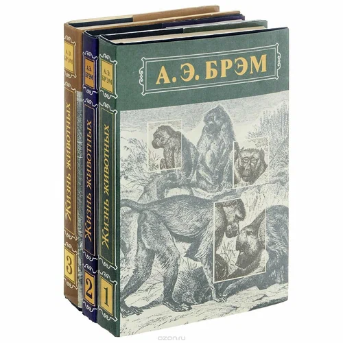 Б/У Брэм 3тт 1992г ()
