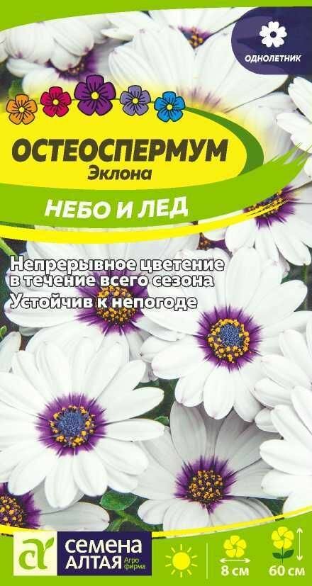 Остеоспермум Небо и Лед 0,1г /СемАлт