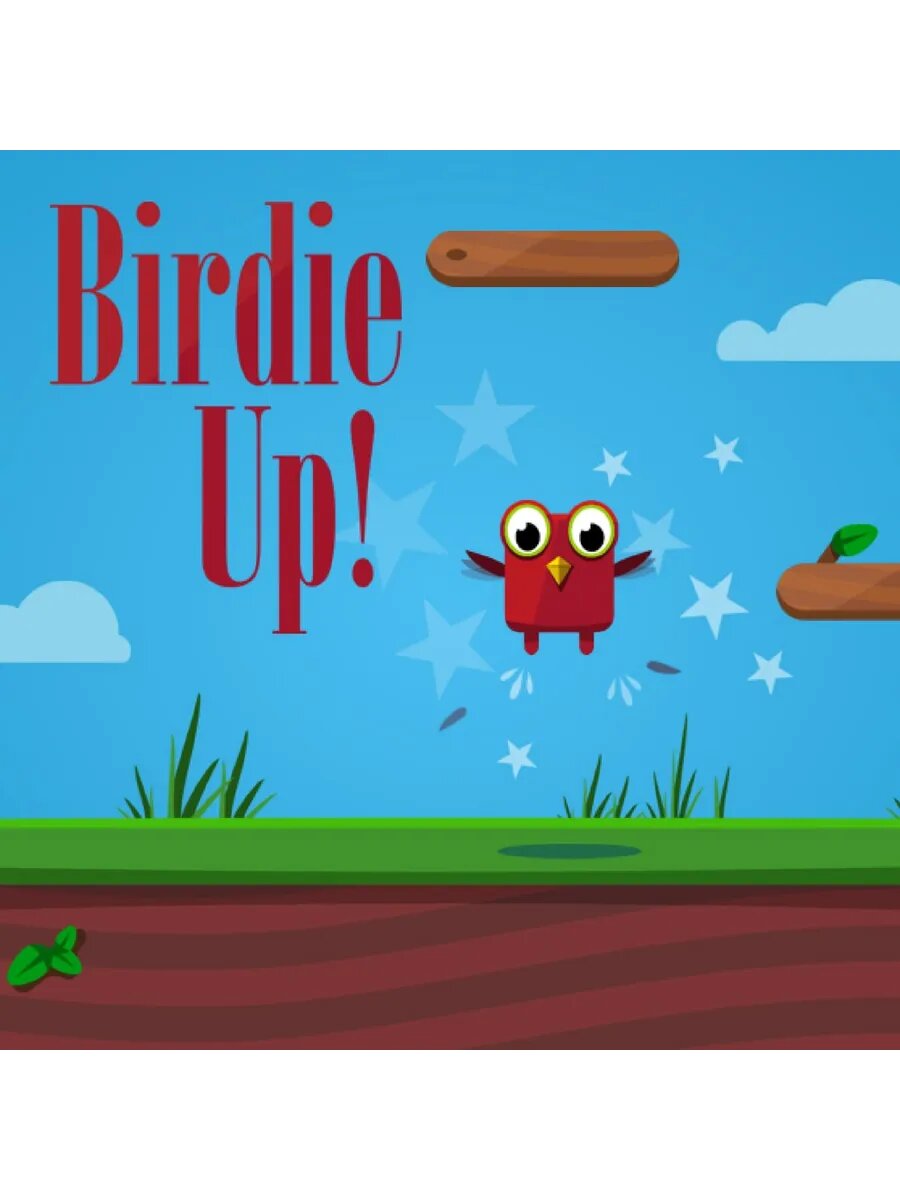 Birdie Up PS4 & PS5