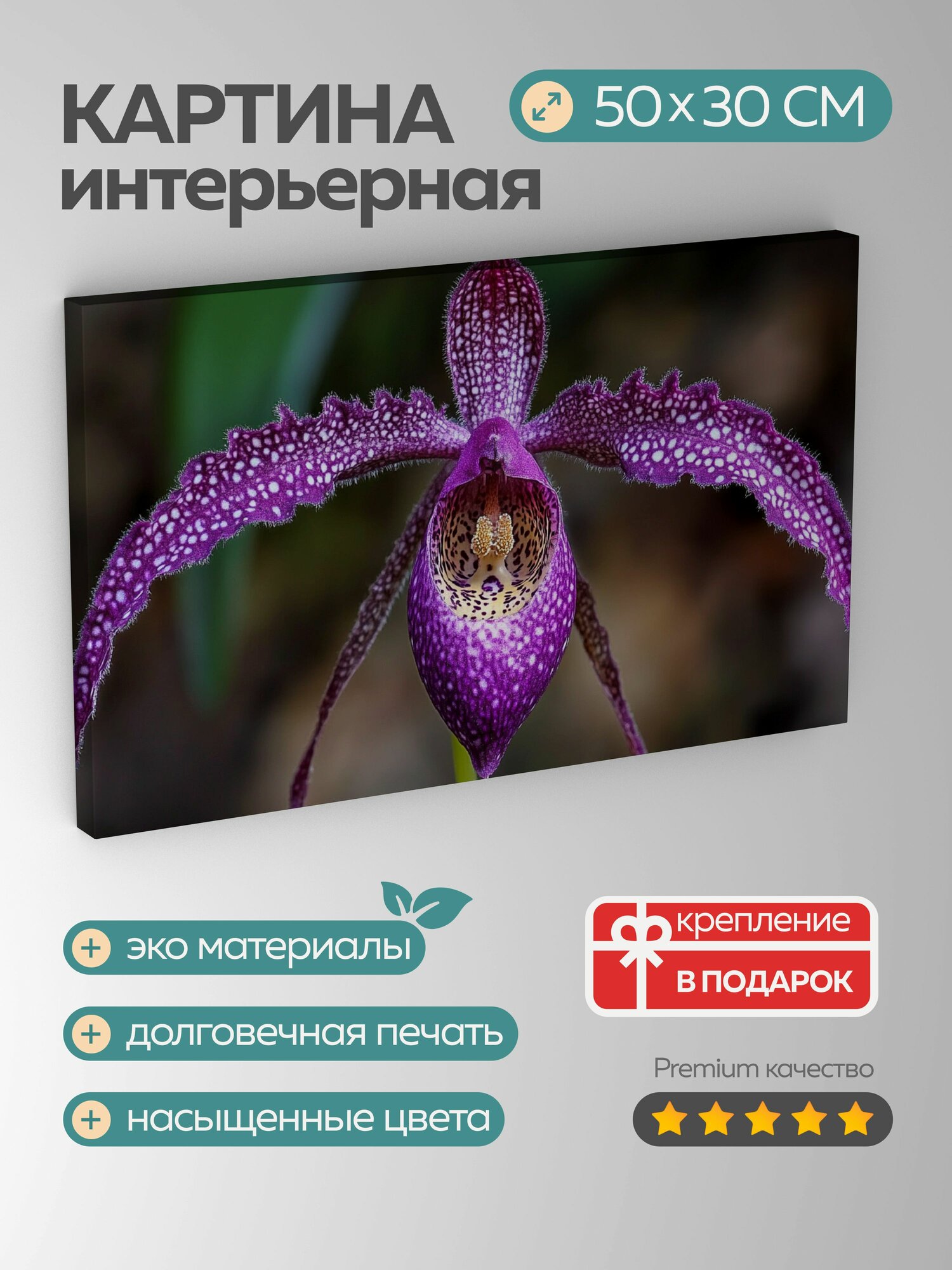 Картина на холсте интерьерная 50х30 см, Орхидея, фиолетовая, крупный план, тычинки, лепестки, четкость, Canon RF 100mm