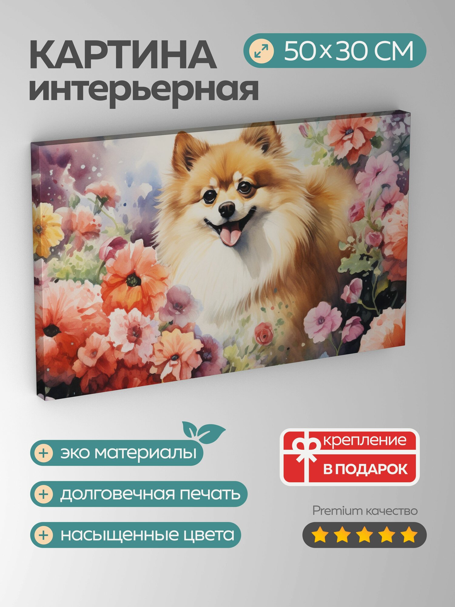 Картина на холсте интерьерная 50х30 см, картина, акварельная иллюстрация, шпиц, аристократические манеры