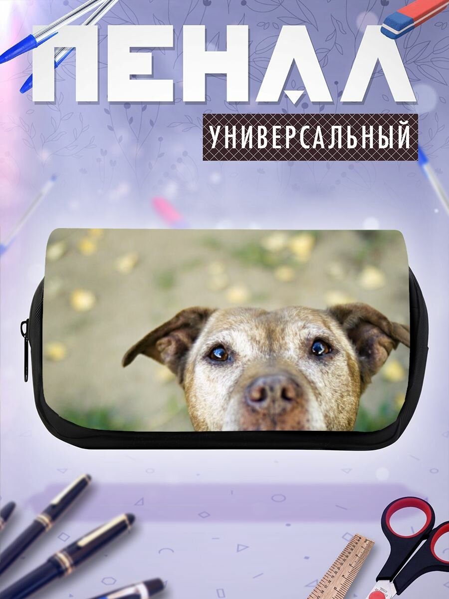 Пенал косметичка американский питбультерьер щенок